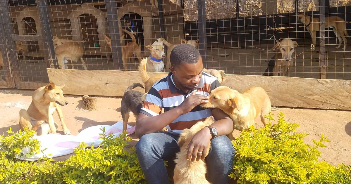 Sauvons le seul refuge pour chiens et chats en République Démocratique ...